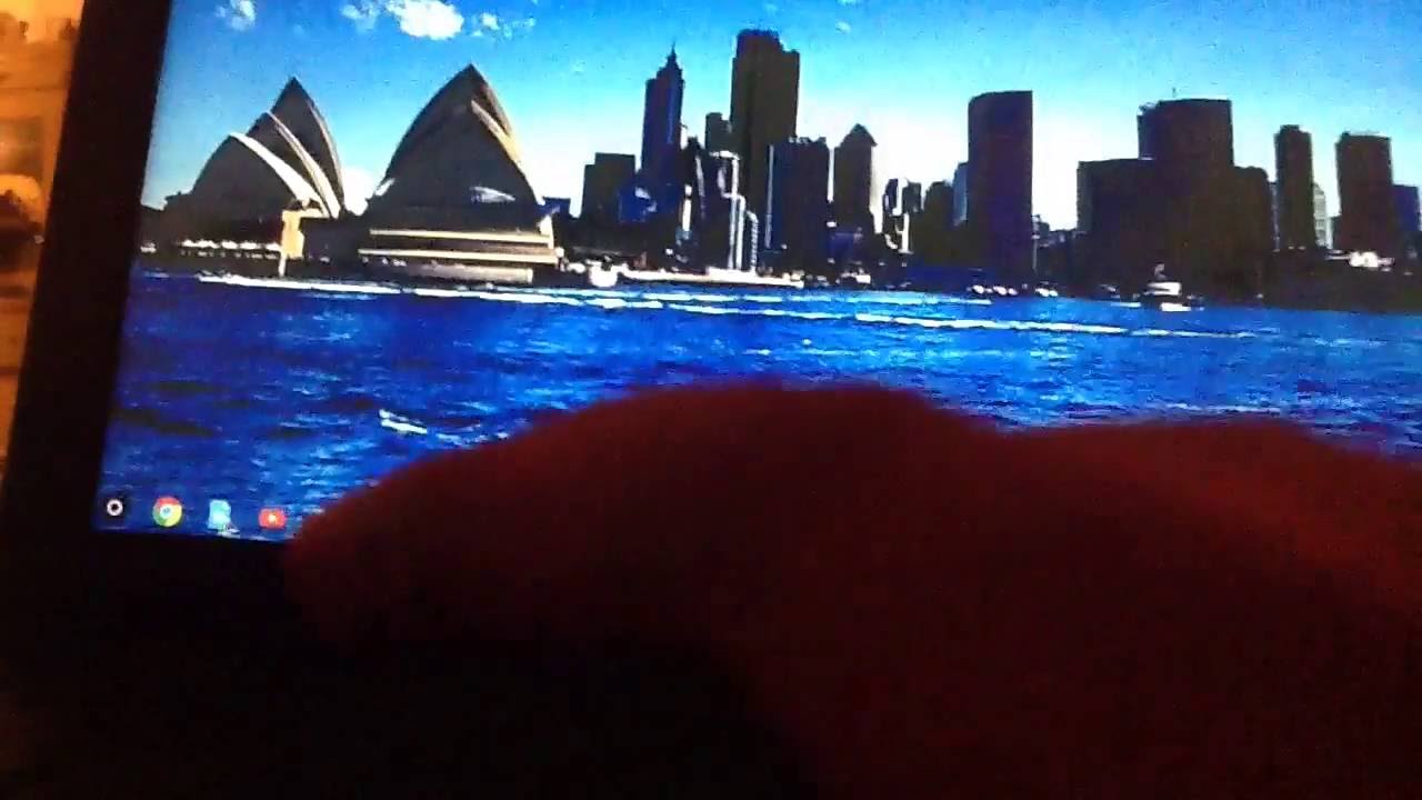 Bild till datorer - YouTube