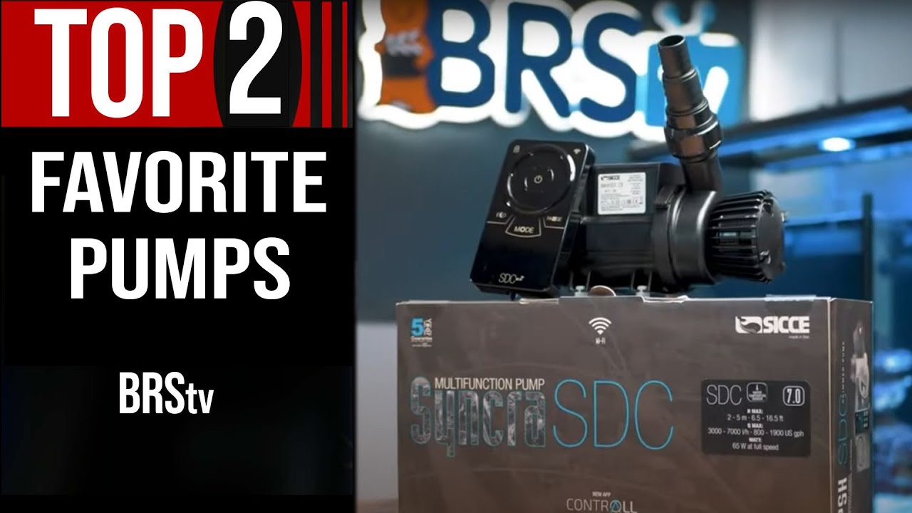 Are These Return Pumps at the Top of Your Aquarium Gear List? - YouTube