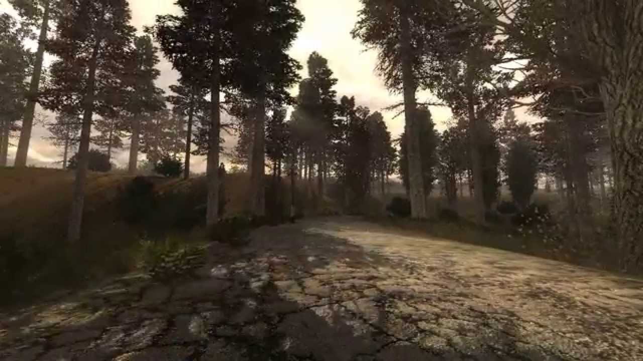Stalker Lost Alpha: Forest location - YouTube
