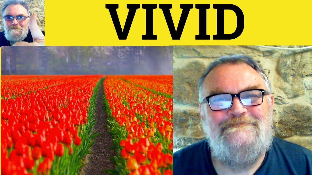 😎 Vivid Meaning - Vividly Defined - Vivid Definition - Vivid Examples ...