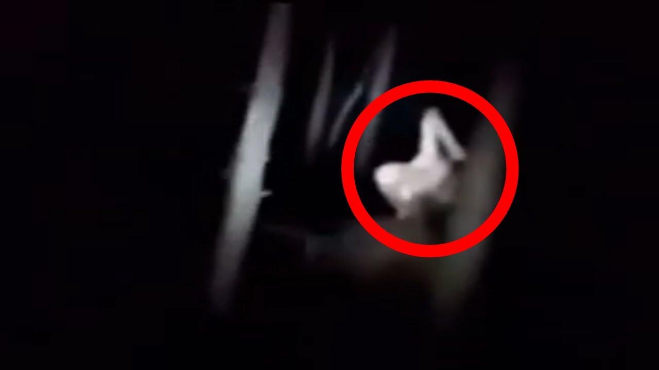 1 Hour Ghost Hunting In Jungle | Scary Videos | Real Ghost Video ...