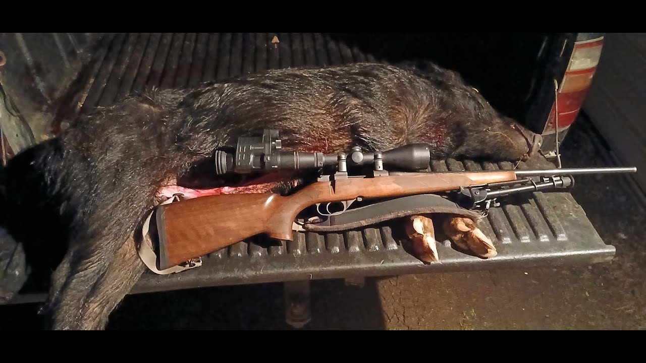 NIGHT VISION DEER AND PIG ACTION. - YouTube