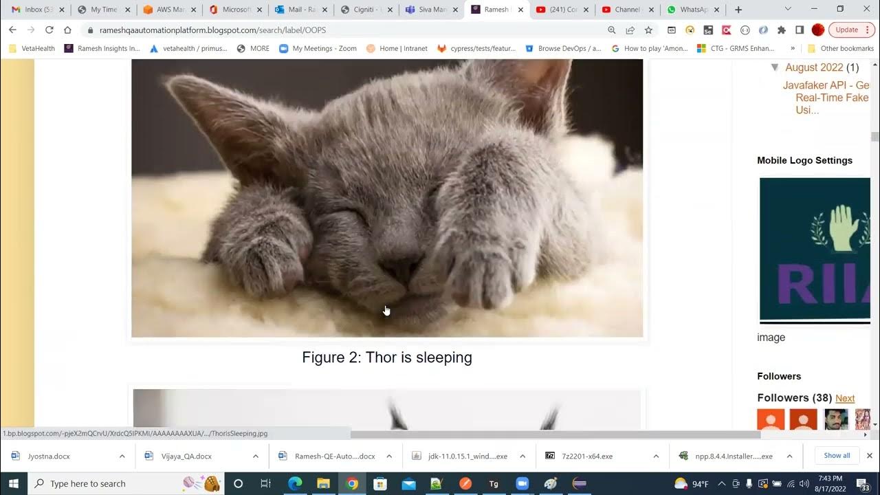 CoreJava OOPS Introduction Class Object PART1 AUG 20220818 - YouTube