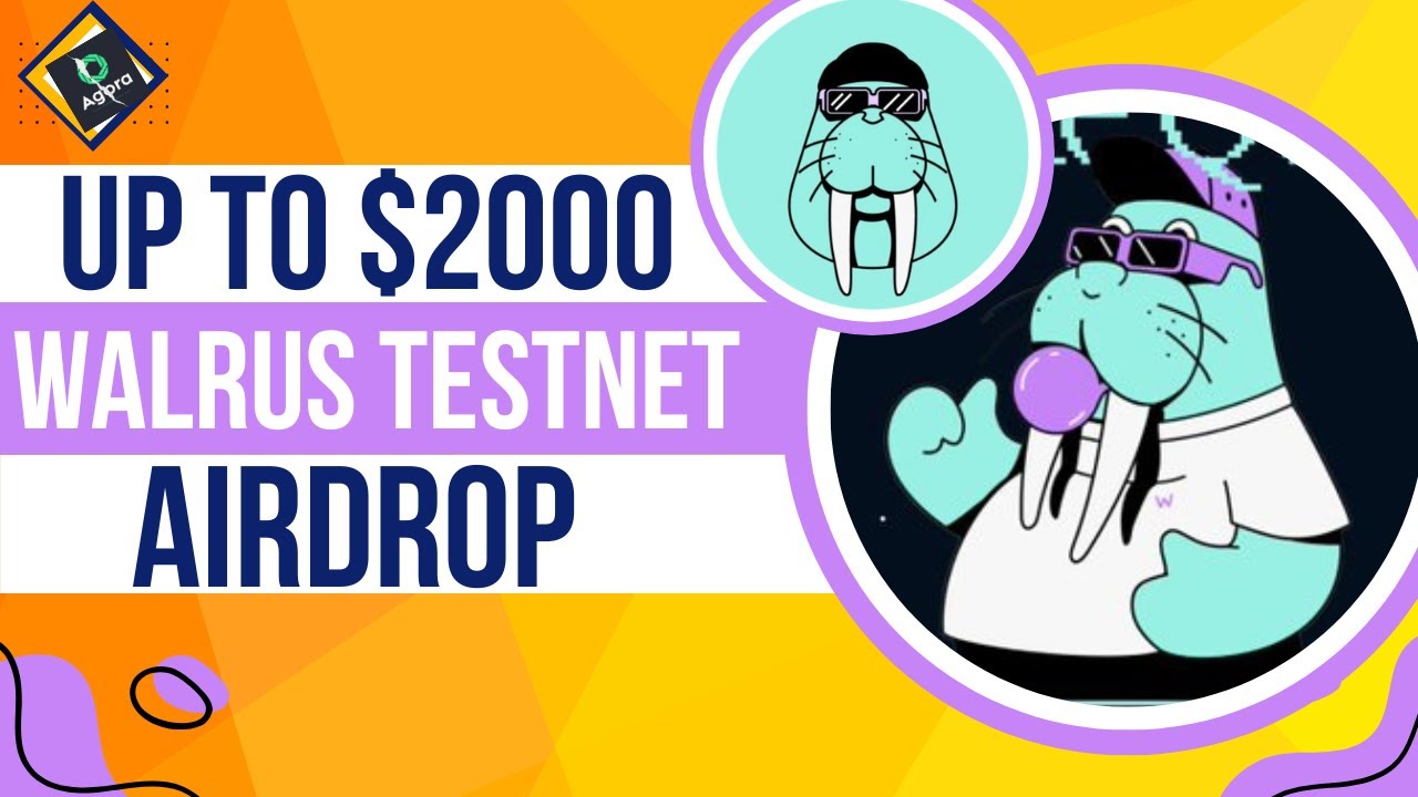 Walrus SUI Testnet Airdrop Step by step in amharic - YouTube