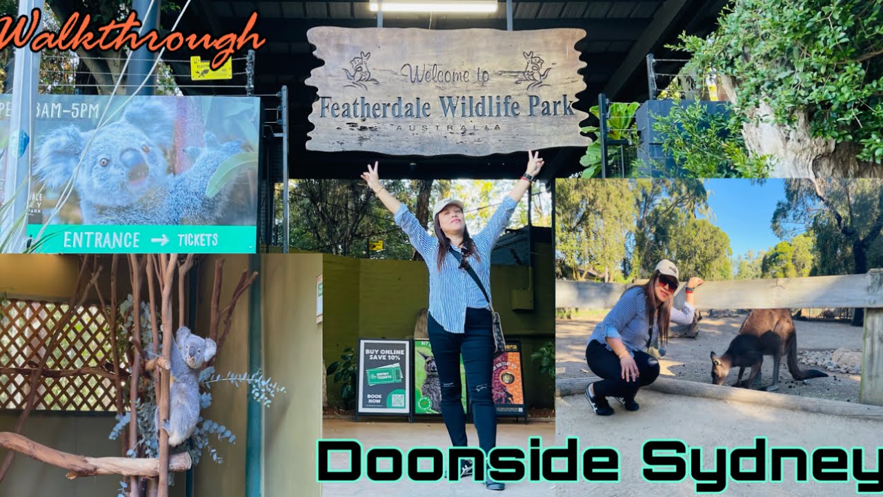 FEATHERDALE SYDNEY WILDLIFE PARK / UP CLOSE ENCOUNTERS W/ THE ANIMALS 🦘 ...