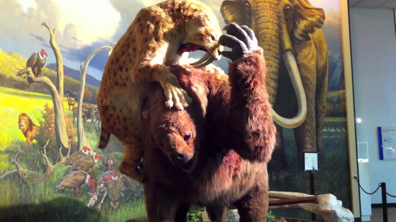 The Sabertooth and the Sloth - YouTube