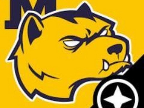 The Michigan Insider Live Stream - YouTube