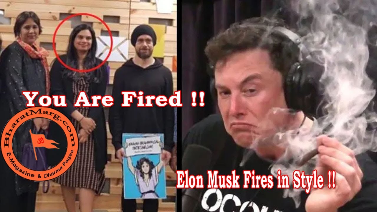 Elon Musk fires Twitter Content policy chief was fired on air in style ...