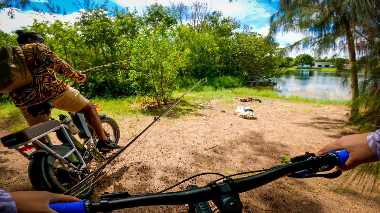Fly Fishing with a Subscriber on our Bikes! (Peacock Bass on 5wt's ...