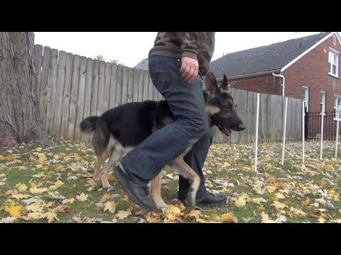 Straddle Training Next Step - YouTube