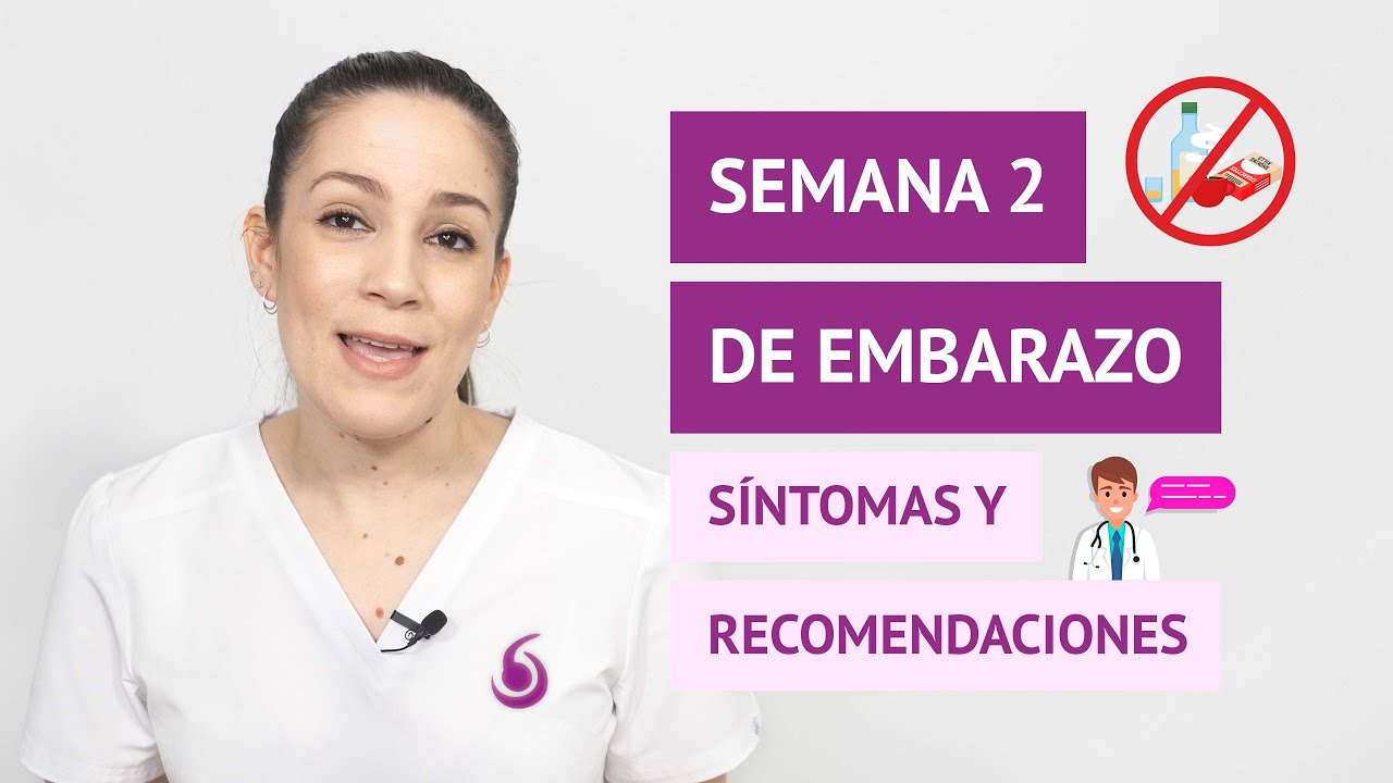 Semana 2 de embarazo: síntomas y recomendaciones para la madre - YouTube