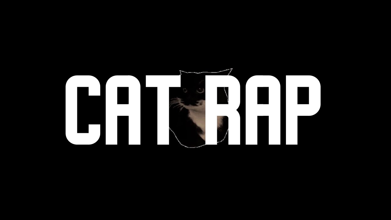 Cat Rap - YouTube