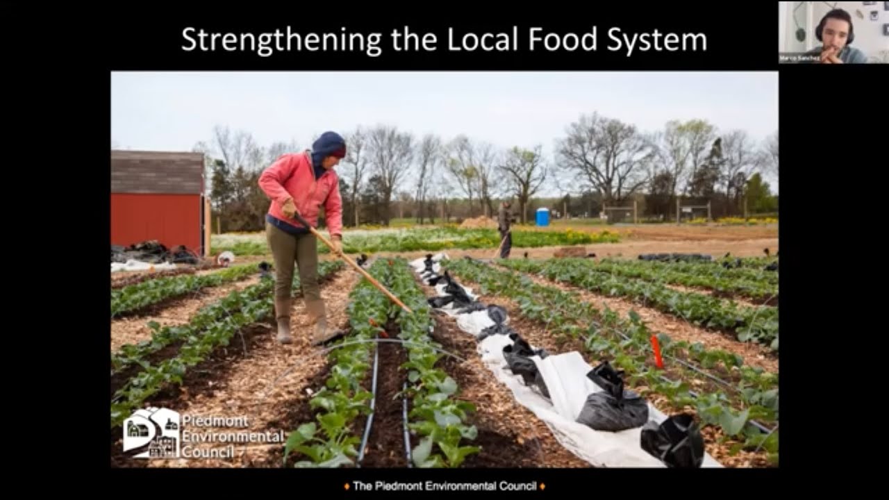 Webinar: Strengthening the Local Food System - YouTube