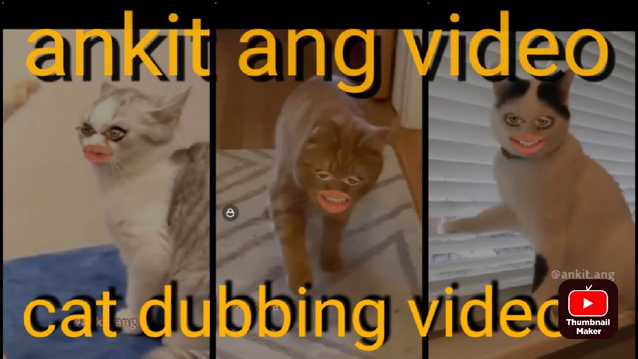 Bagad Billa Part 1 || Funny Instagram Reels || #ankit.ang - YouTube