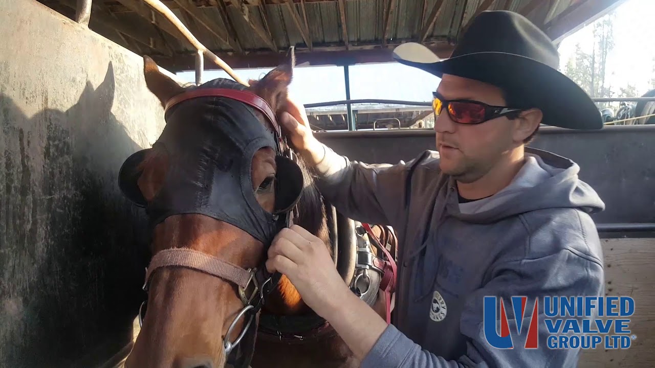 THE INSIDE TRACK With Kurt Bensmiller - YouTube