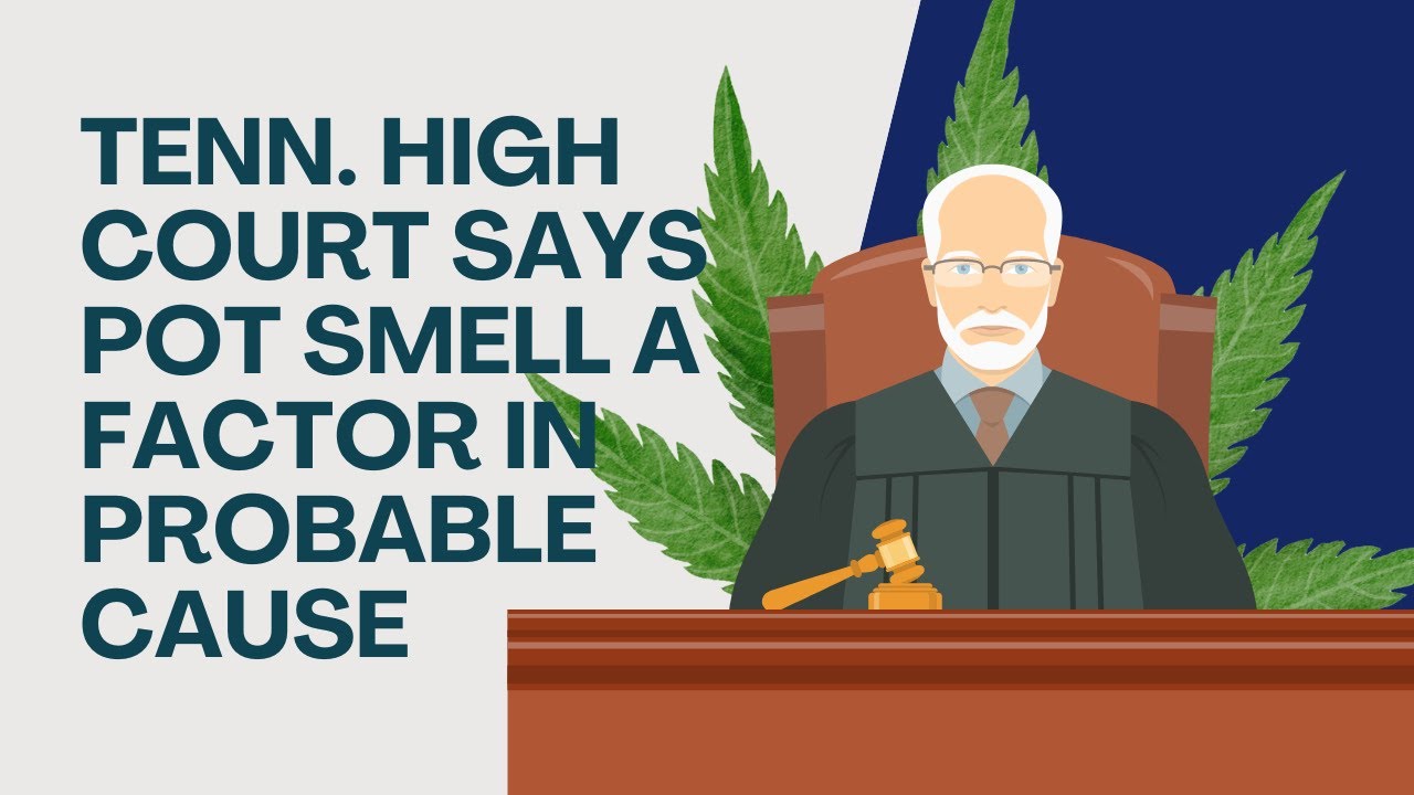 Shocking ruling: Pot smell affects probable cause - YouTube