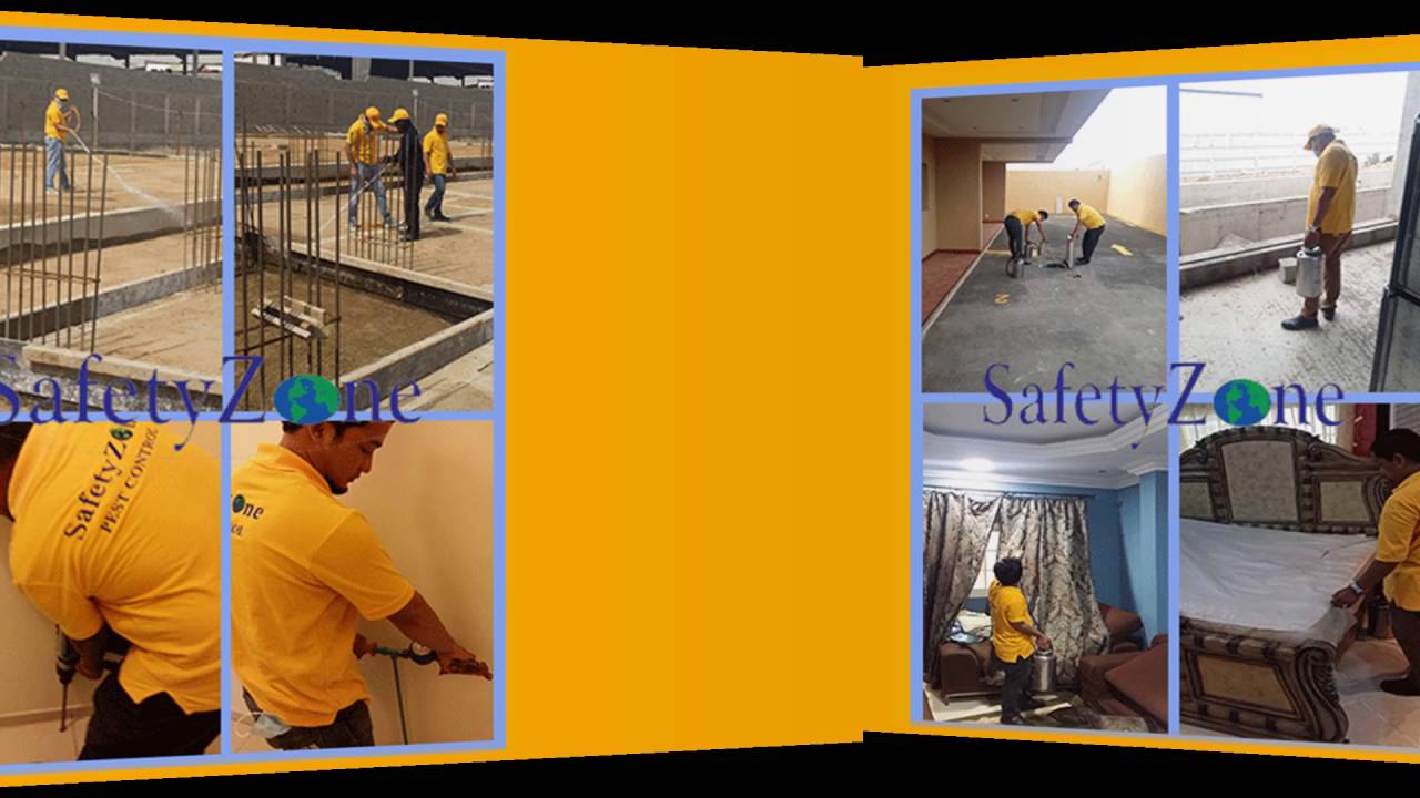 safetyzone pest control - YouTube