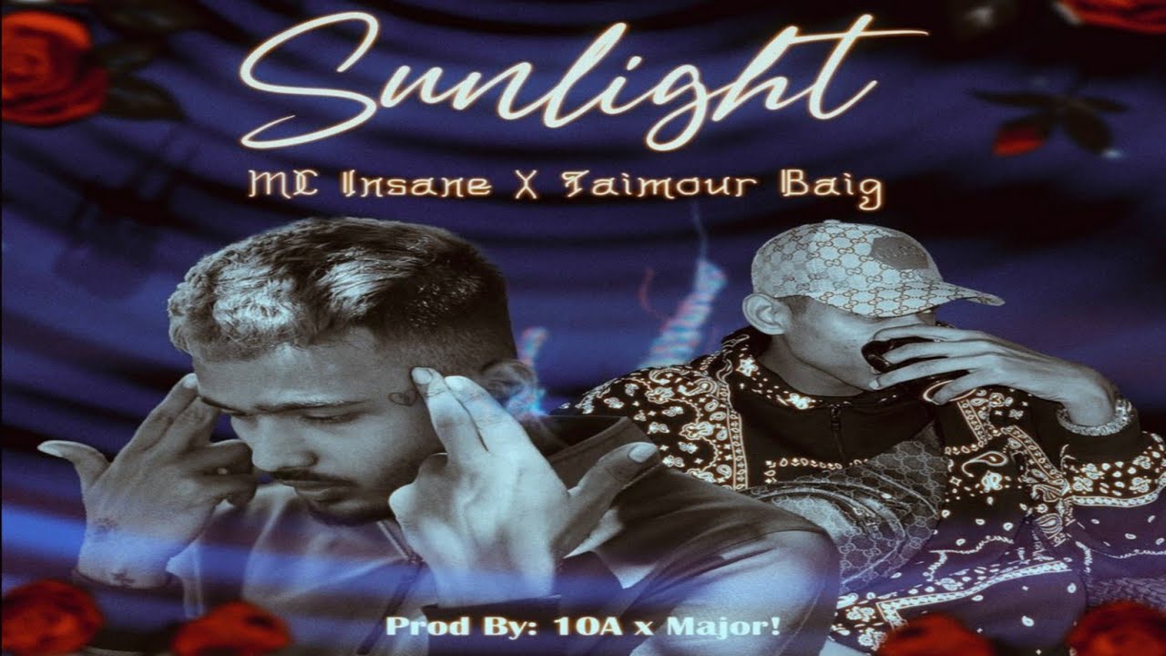 SUNLIGHT - MC INSANE FT. TAIMOUR BAIG | OFFICIAL AUDIO VISUALIZER ...