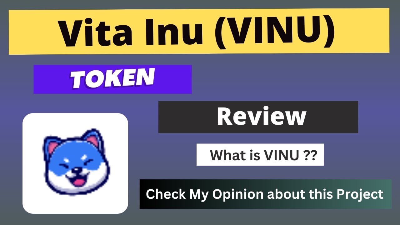 What is Vita Inu (VINU) Coin | Review About VINU Token - YouTube