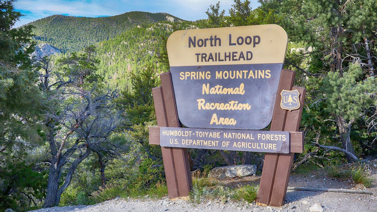 North Loop Trail - Mt. Charleston (7/12/20) - YouTube