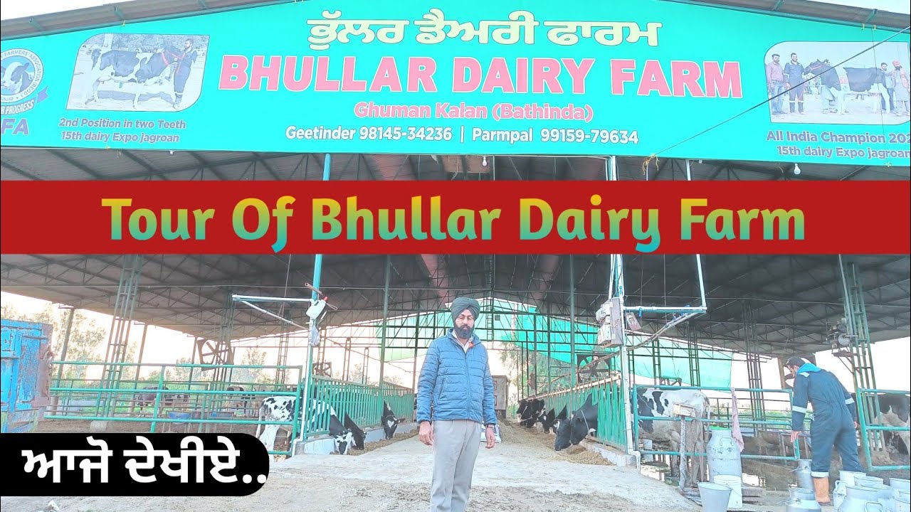 Tour Of Bhullar Dairy Farm | ਆਜੋ ਦੇਖੀਏ | Ghuman Kalan | Bathinda | Pets ...