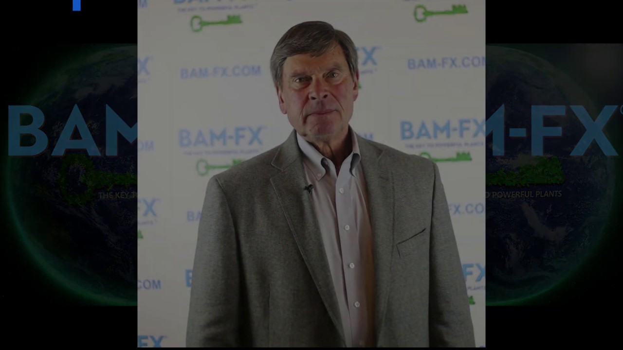 Tim Peach, CEO of BAM-FX - YouTube
