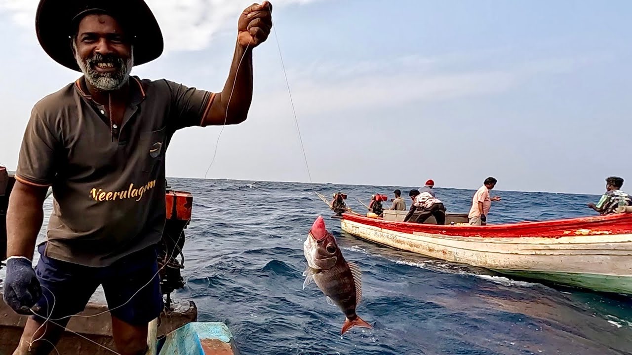 Catching Plenty of Rosy Snapper in the Deep Sea - YouTube