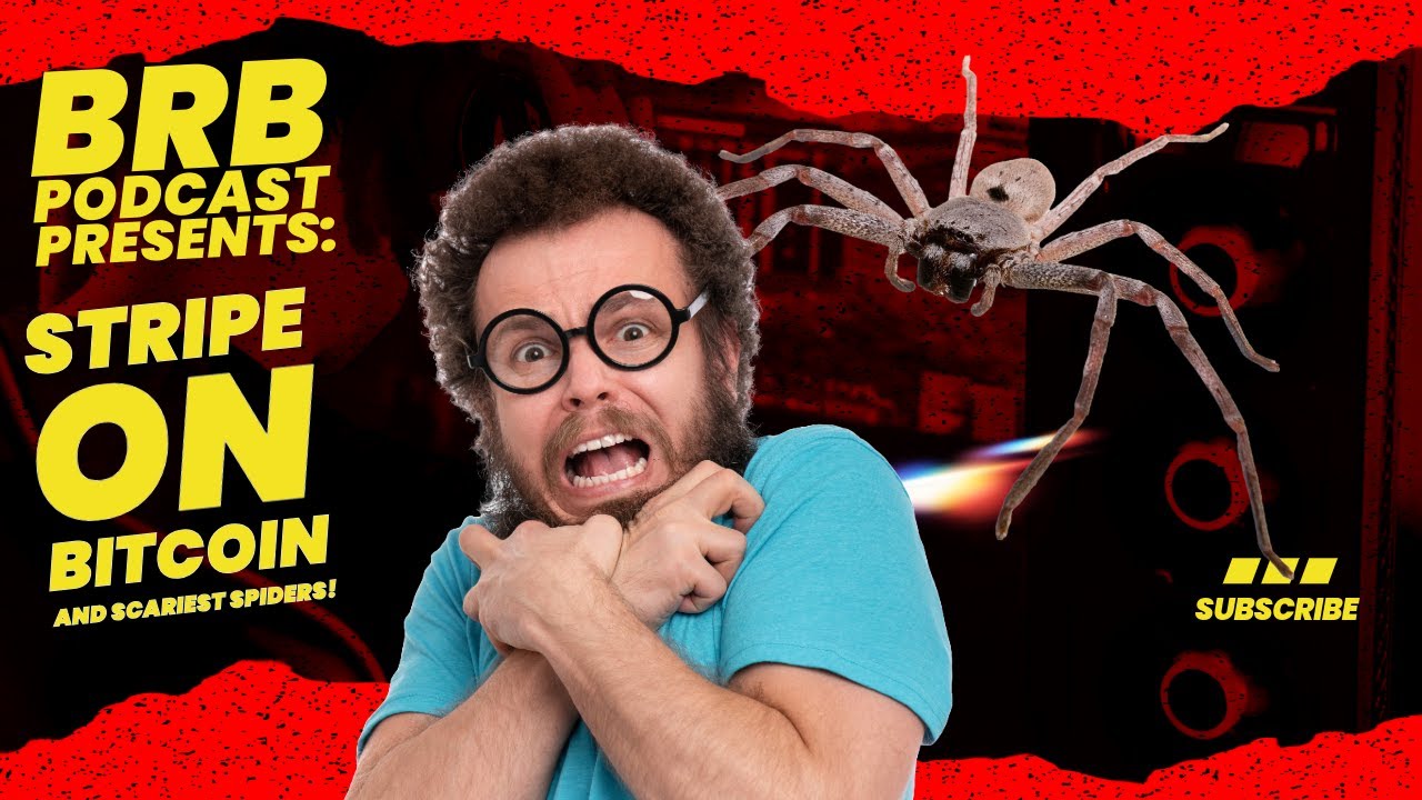 Bitcoin and Spiders! - YouTube
