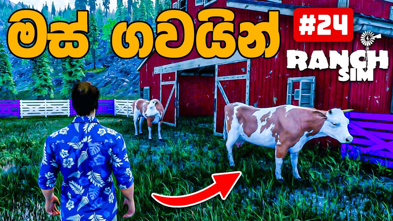 I built a barn for beef cows in Ranch Simulator PC gameplay #24 - YouTube