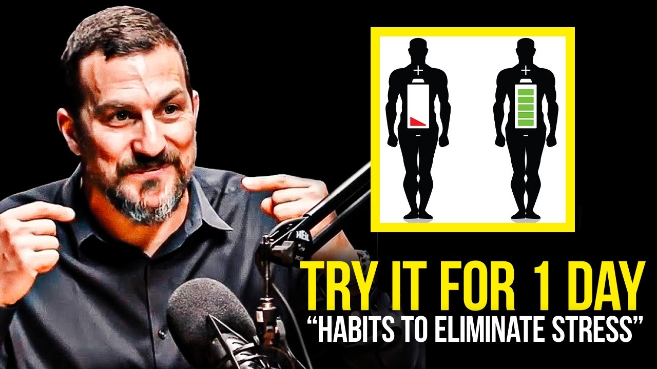 NEUROSCIENTIST Dr Andrew Huberman Leaves The Audience Speechless | You ...