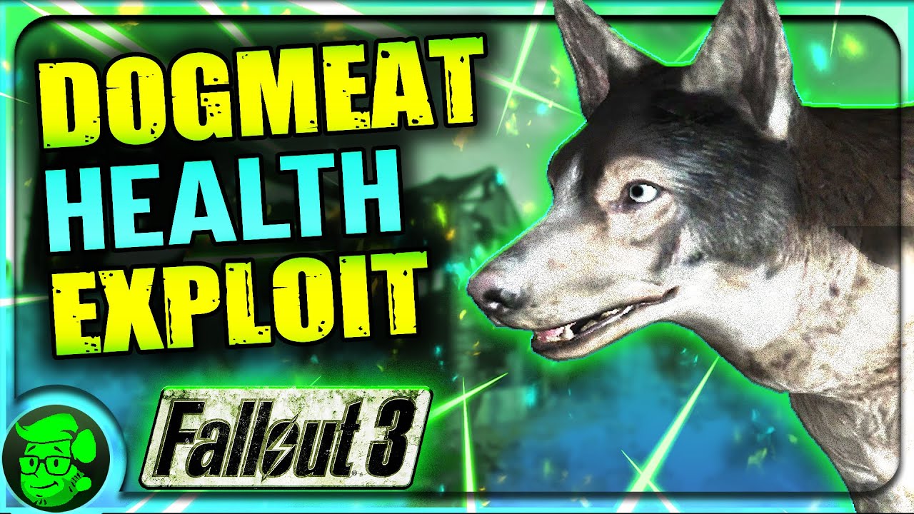 I REGRET Ignoring Fallout 3's Dogmeat Health EXPLOIT - YouTube
