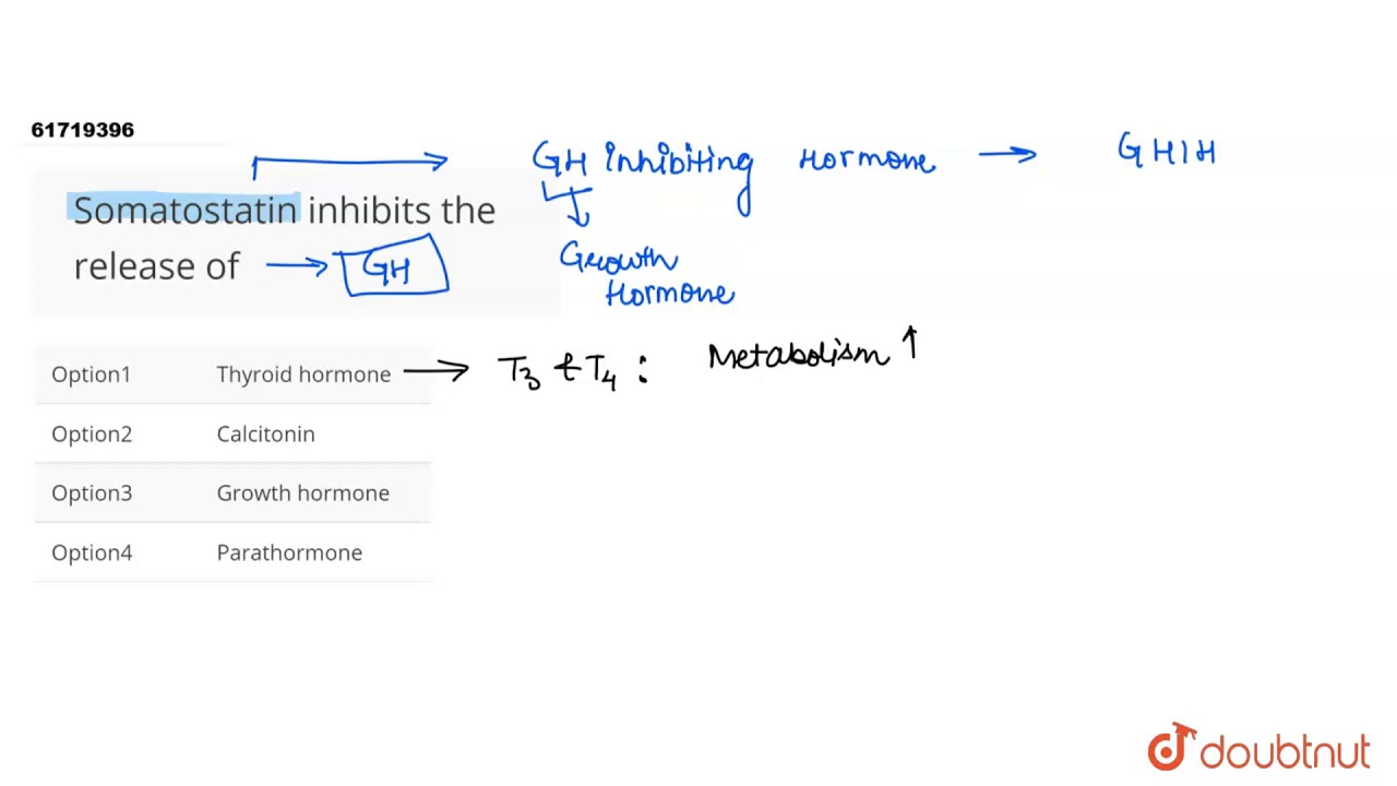 somatostatin-inhibits-the-release-of-youtube