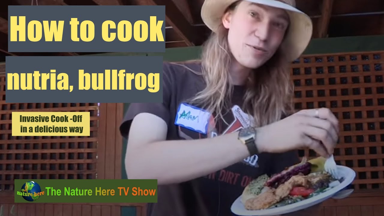 How to cook bullfrog, wild turkey, nutria, starling or other invasive ...