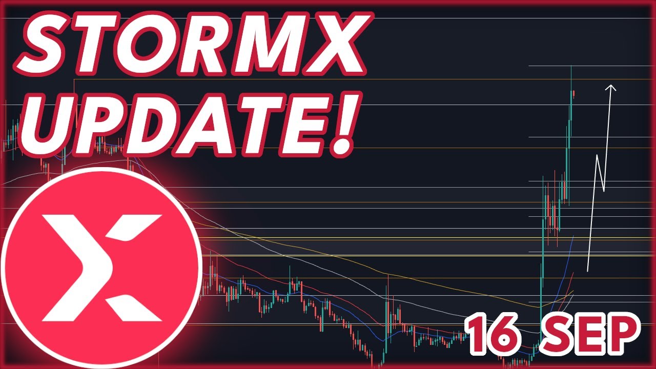 STMX BULLRUN UPDATE!🔥 | STORMX (STMX) PRICE PREDICTION & NEWS 2023 ...