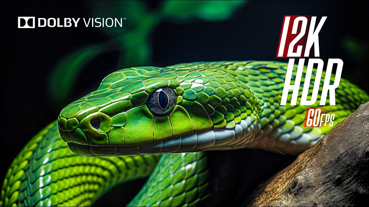 Real 12K HDR 60FPS Dolby Vision - YouTube