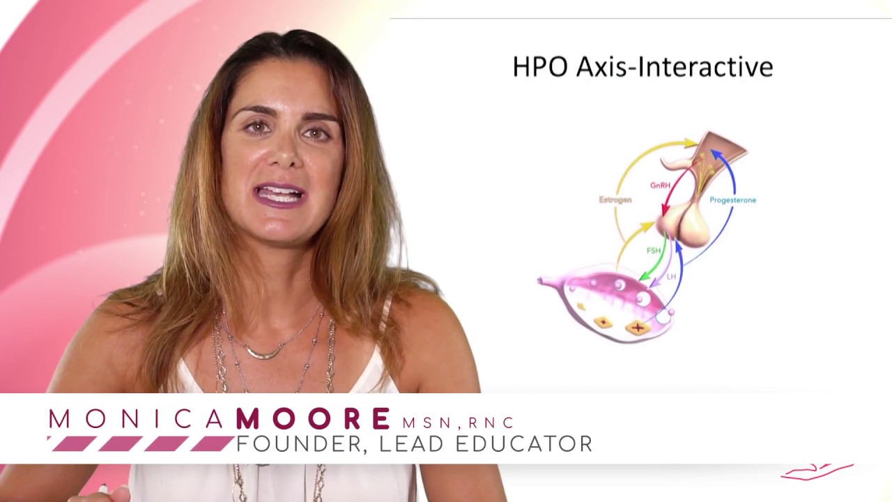 HPO Axis a Quick Tour (Course Excerpt) - YouTube