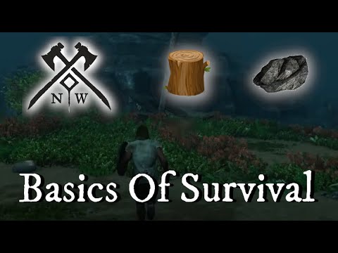 Basics Of Survival - New World - YouTube