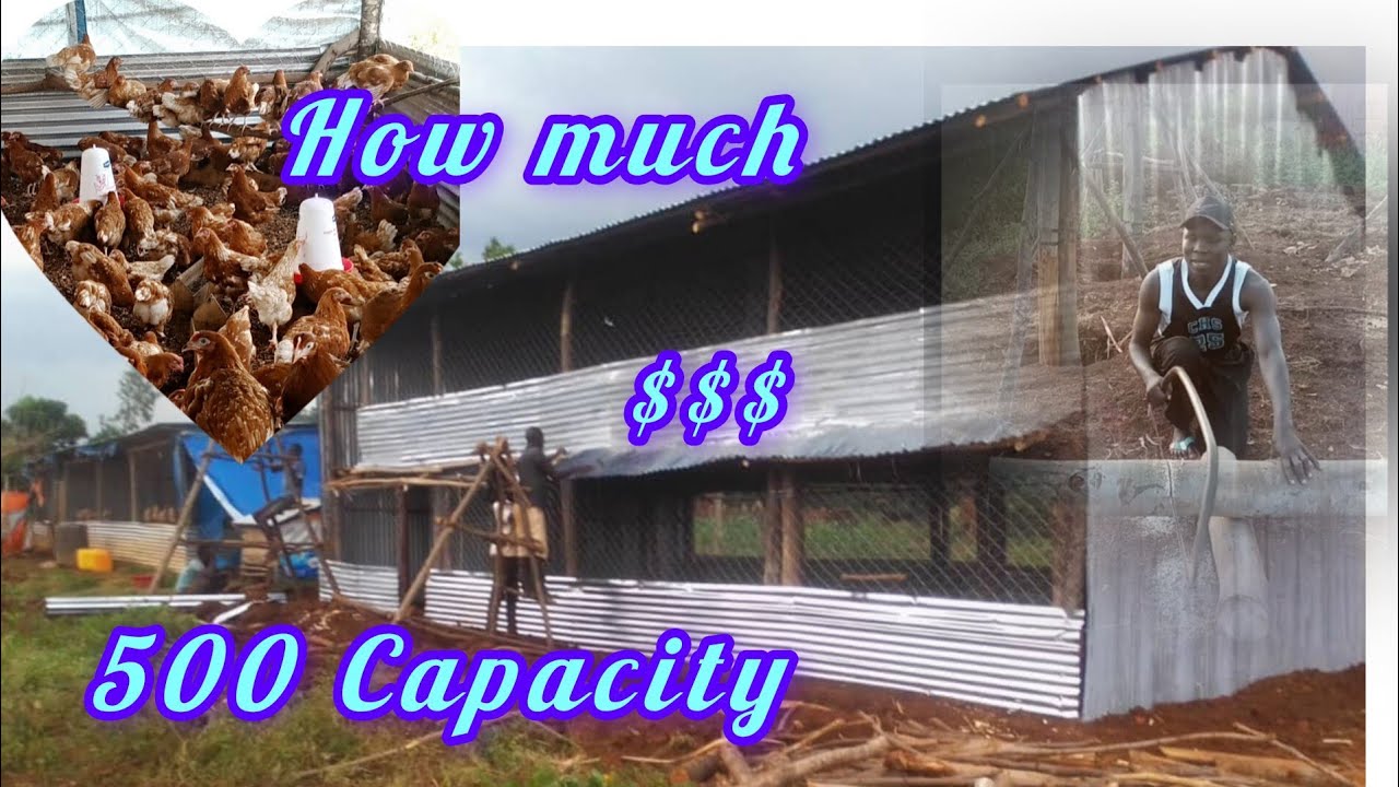 How much does it cost to build 500 capacity chicken house - YouTube