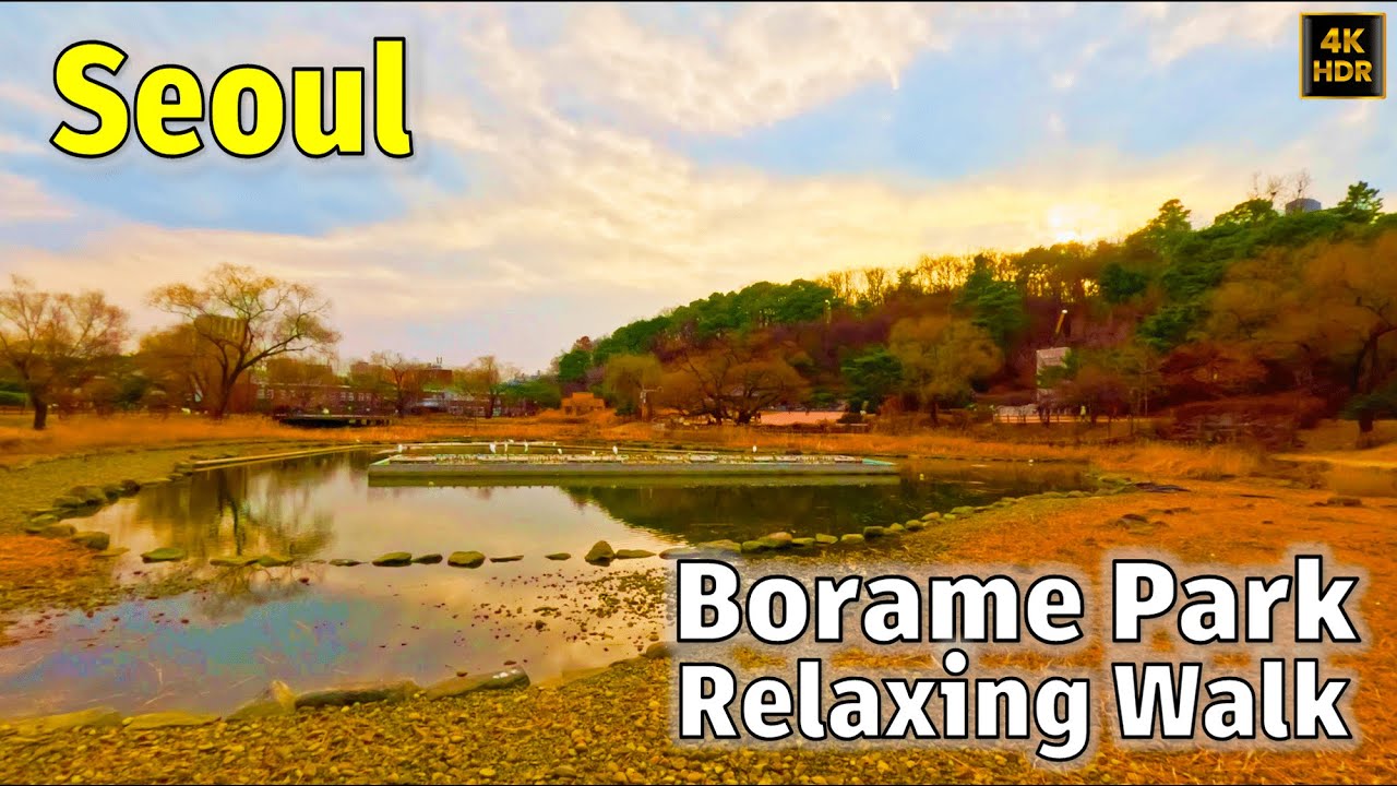 Winter's Last Escape: An Afternoon Relaxing Walk in Boramae Park. Seoul ...