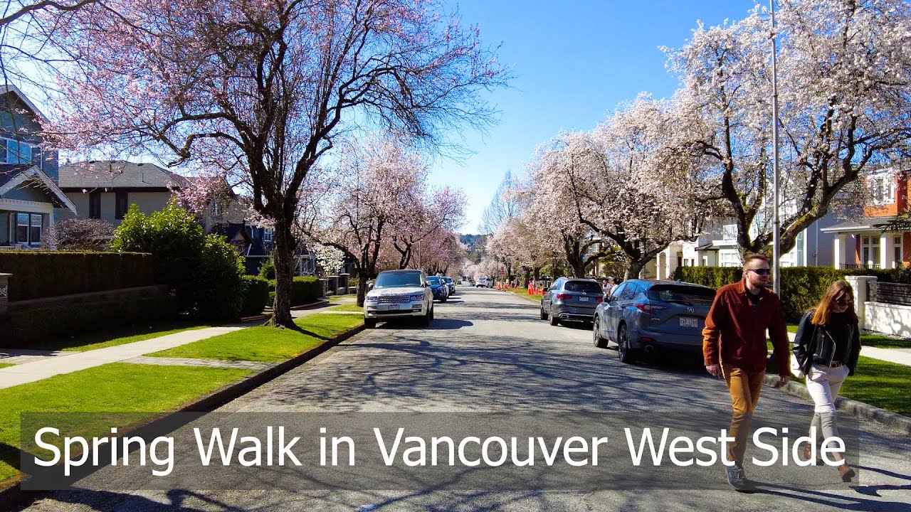 4K Vancouver BC Canada - Vancouver West Side Spring Walk Tour - Arbutus ...