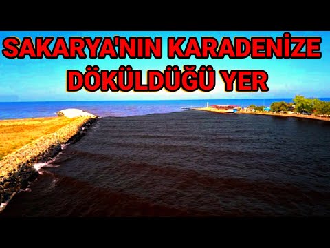 Sakarya'nın denize döküldüğü yer, Sakarya Nehri Karasu Yenimahalle