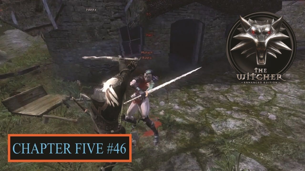 The Witcher 1 Enhanced Edition Walkthrough Gameplay Part46 - YouTube