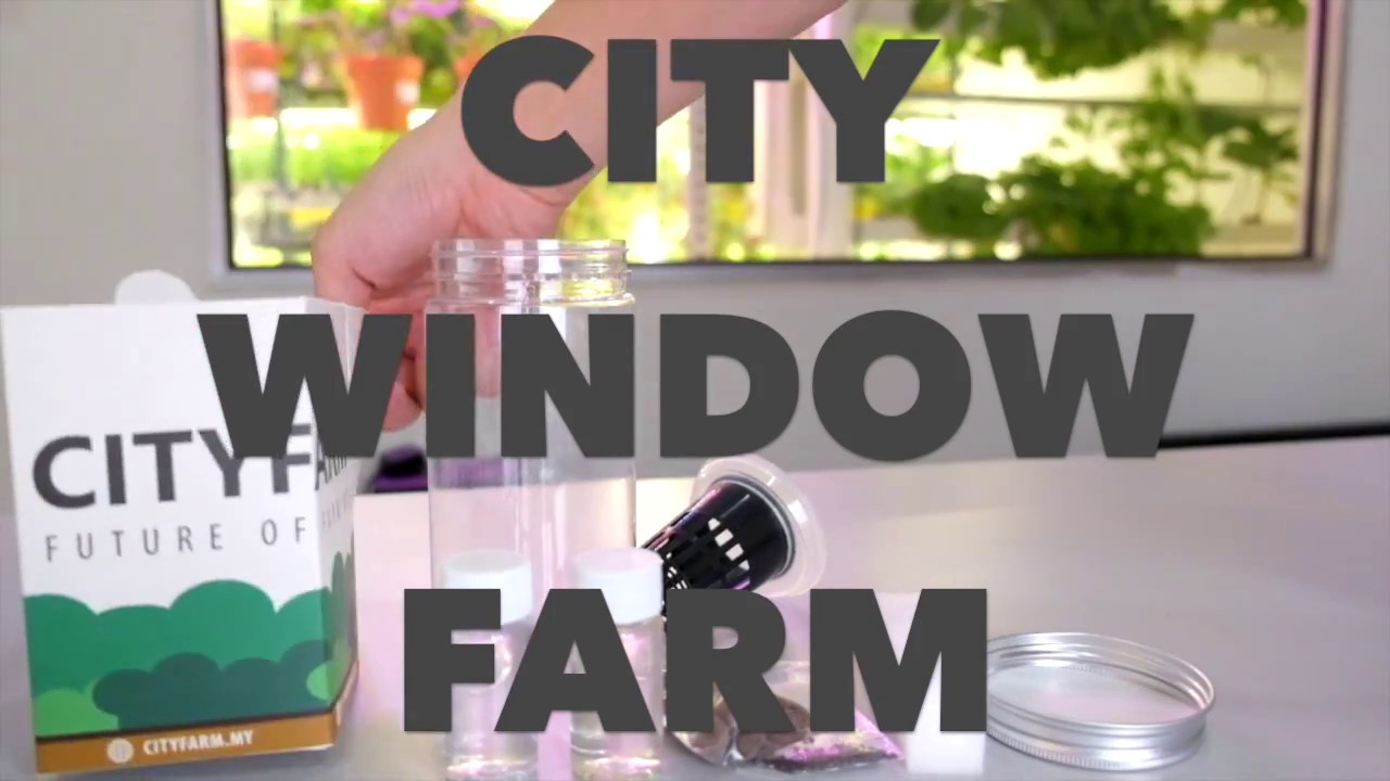 Step By Step Guide: City Window Farm - YouTube