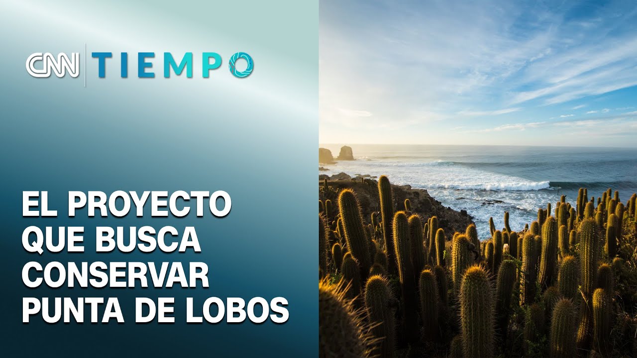 Parque Punta de Lobos: El proyecto que protege la capital mundial del ...