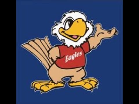 VES Band & Strings Instrument Demo with Spirit! - YouTube