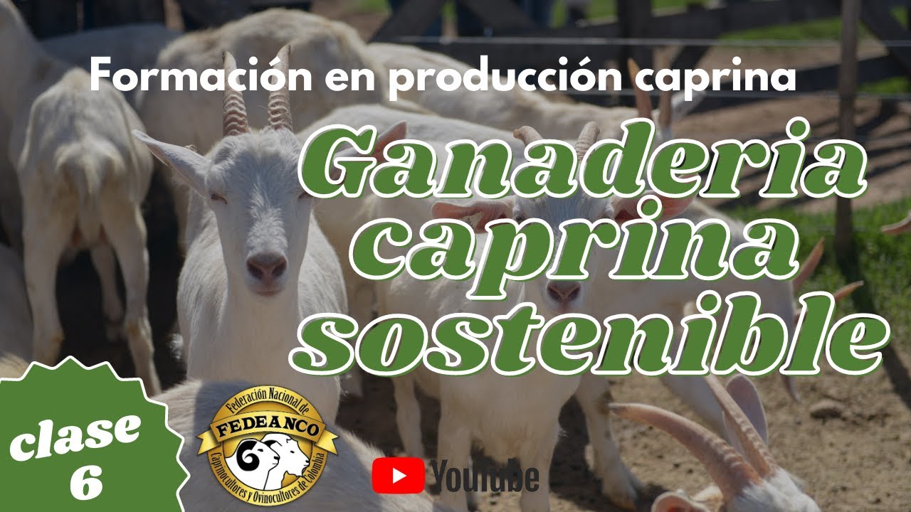 GANADERIA CAPRINA SOSTENIBLE - Clase #6 - YouTube