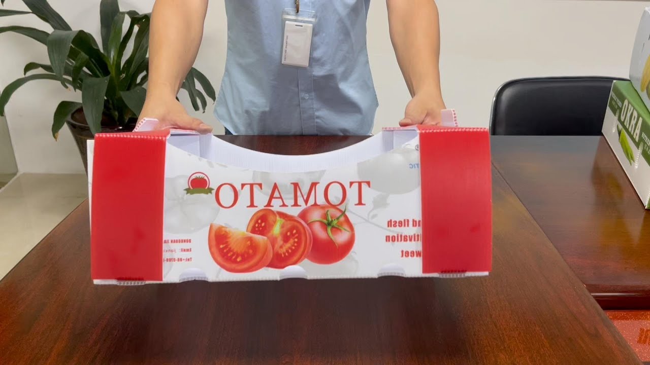 Custom corrugated plastic tomato boxes - YouTube
