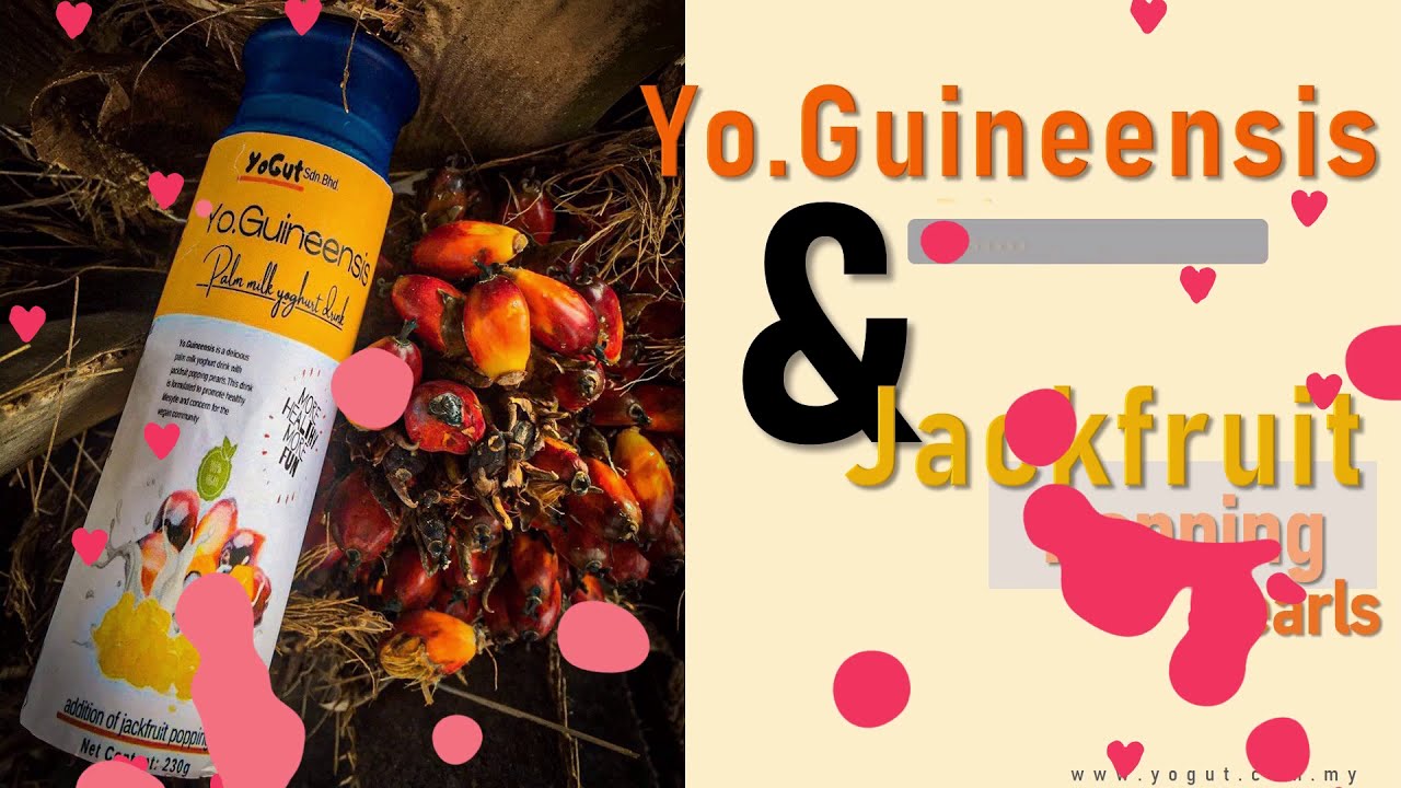 PALM MILK YOGURT DRINK (PD 2020) - YouTube