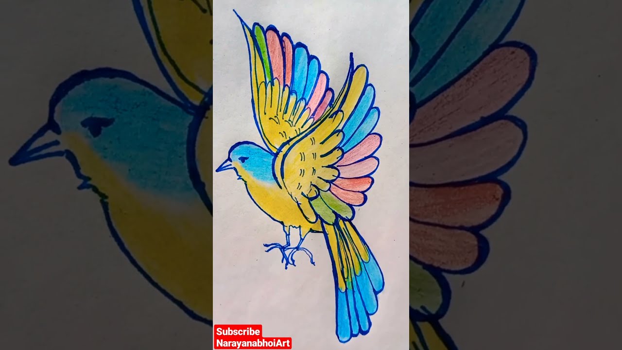 Birds Flying Drawing Colorful