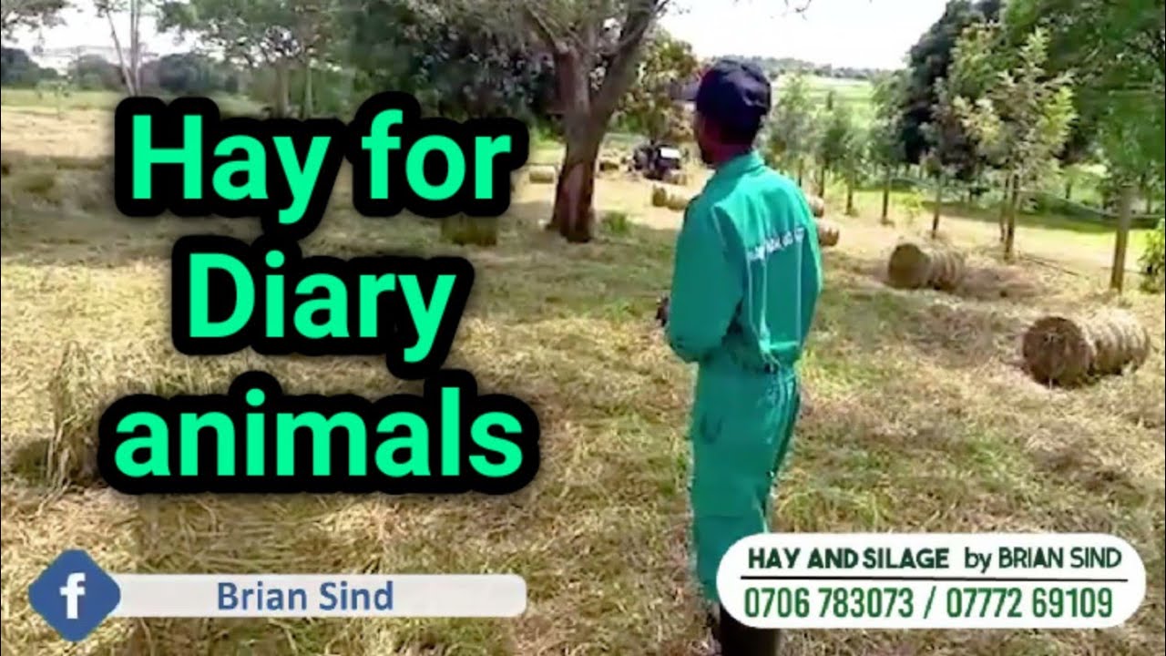 Process of making good hay - YouTube